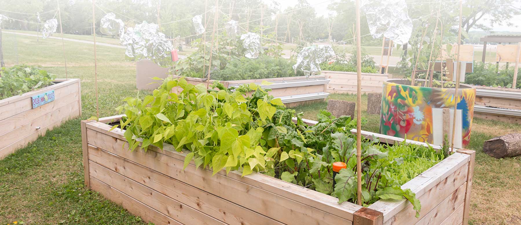 Jardines comunitarios - Viva Saludable